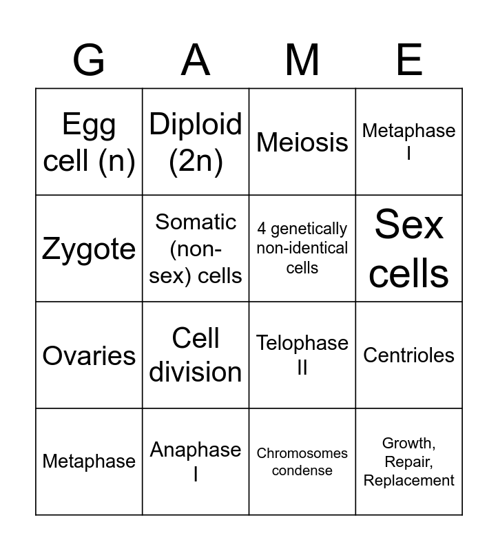 Mitosis and Meiosis Bingo Card