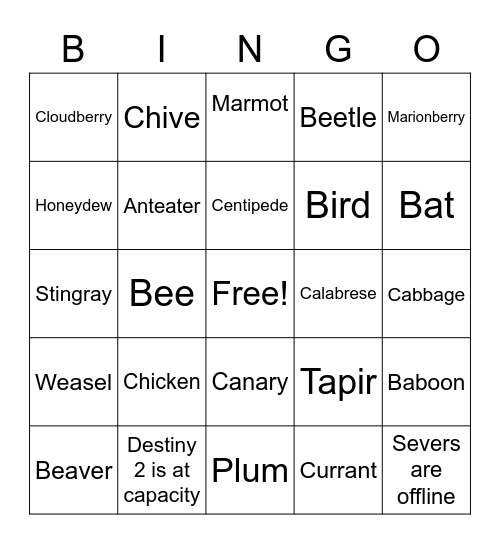 Destiny Error code Bingo Card