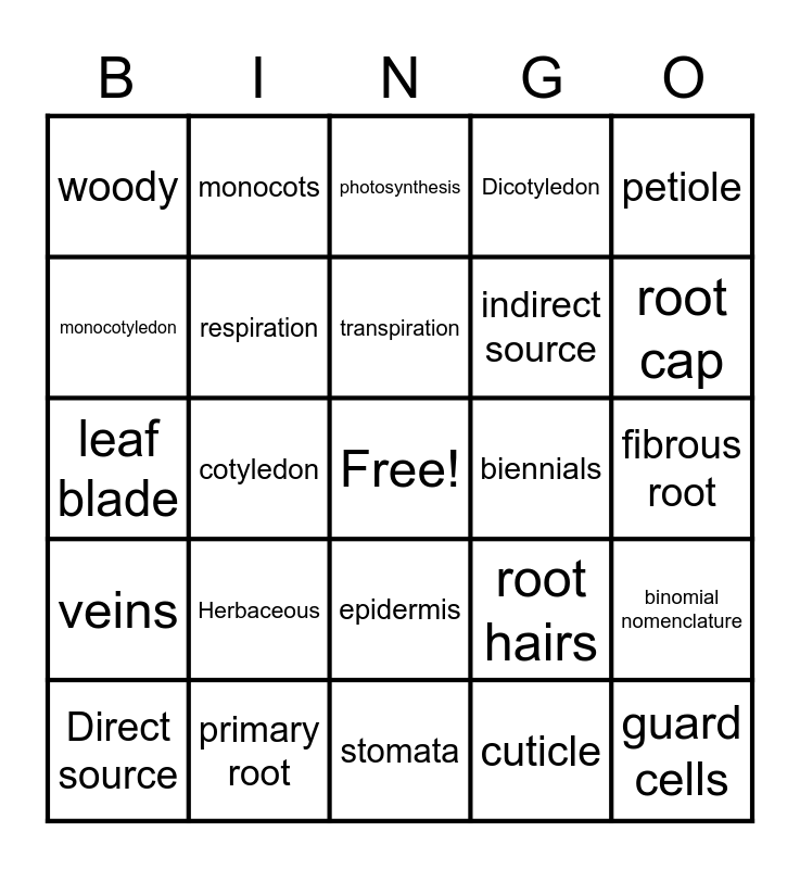 Plant Parts And Classes Bingo Card Plant Parts And Classes Bingo Card
