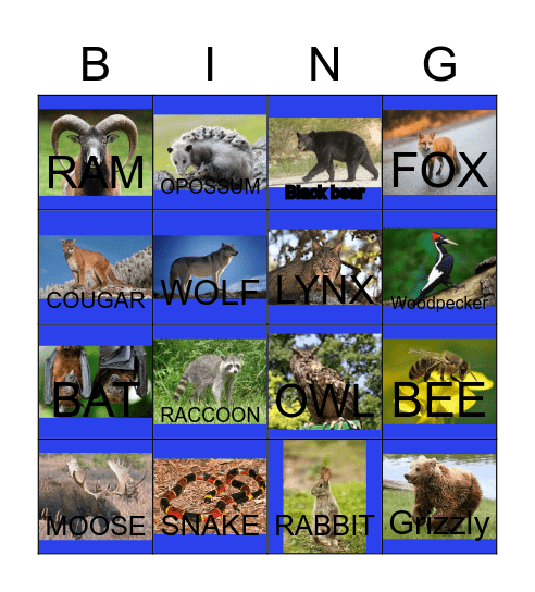 FOREST ANIMALS Bingo Card