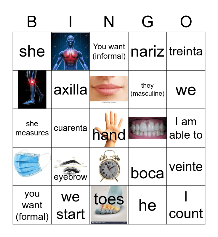 Spanish Basics 2 Bingo Card