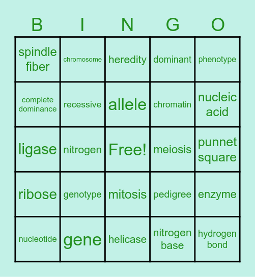 genetics Bingo Card