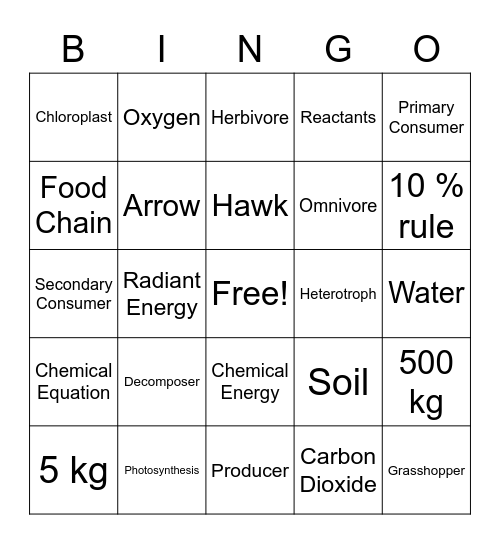 Photosythesis / Energy Flow Bingo Card