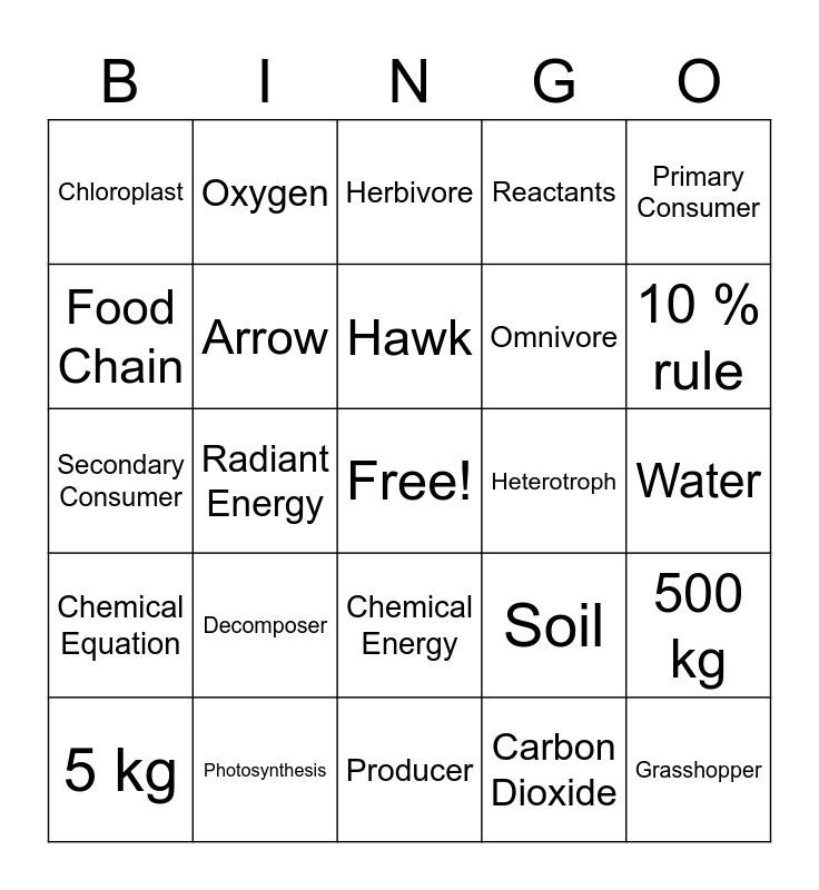 Photosythesis / Energy Flow Bingo Card