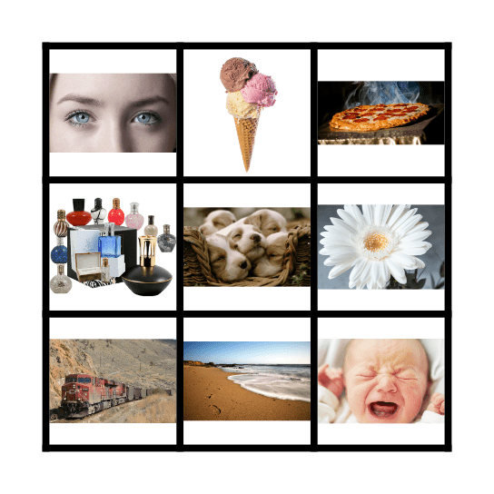 Five Senses Bingo Card