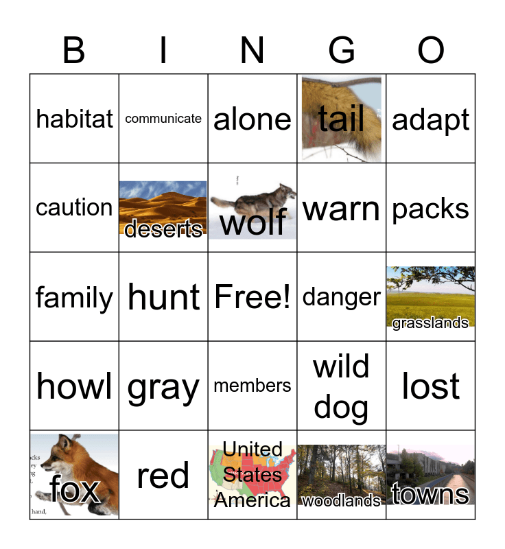 G3 U4 W3: GRAY WOLF! RED FOX! Bingo Card