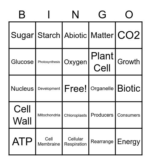 Cellular Respiration Bingo Card