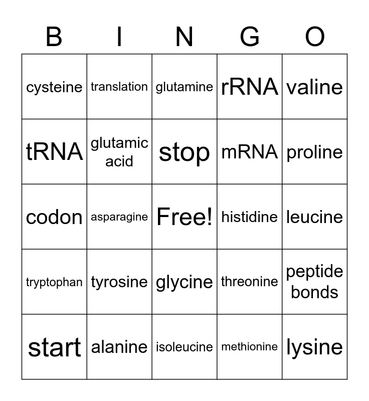 protein synthesis Bingo Card