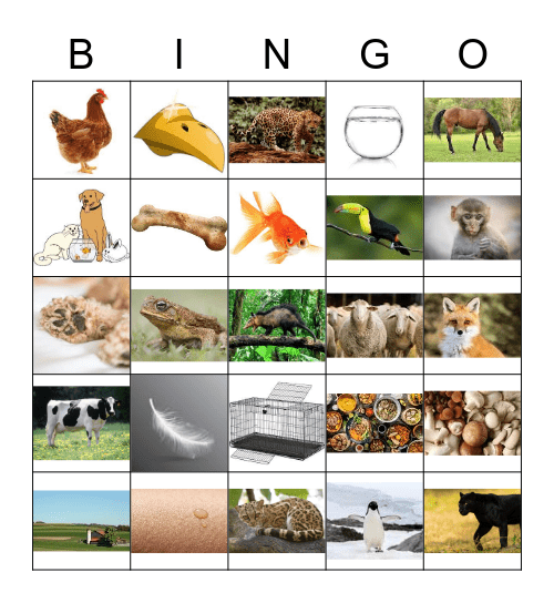 Los Animales Bingo Card
