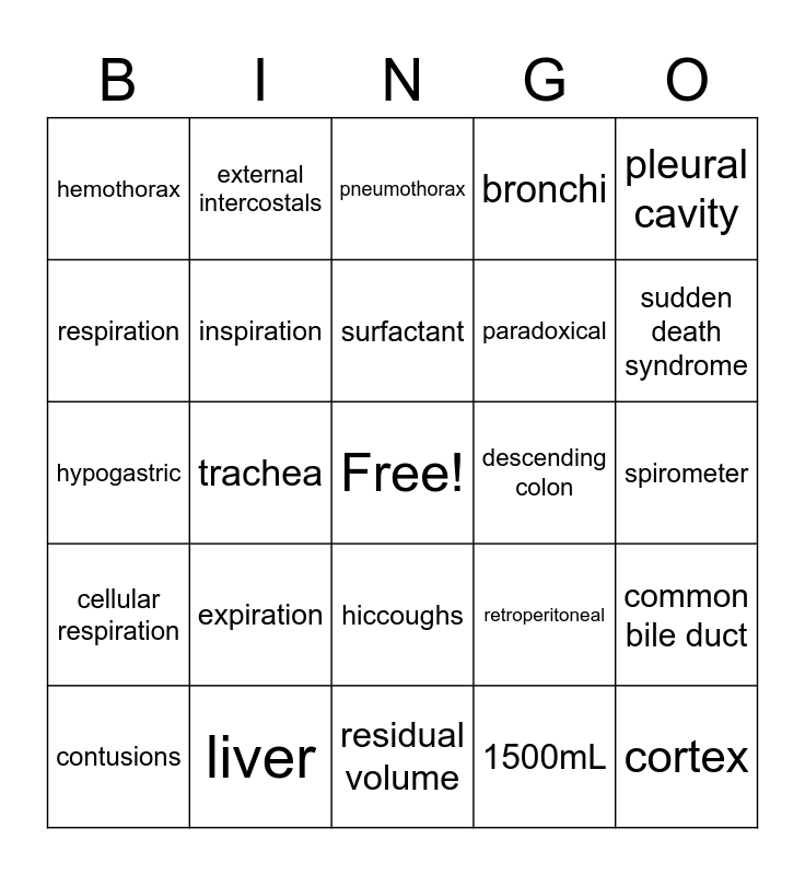 Chest and Abdomen Bingo Card
