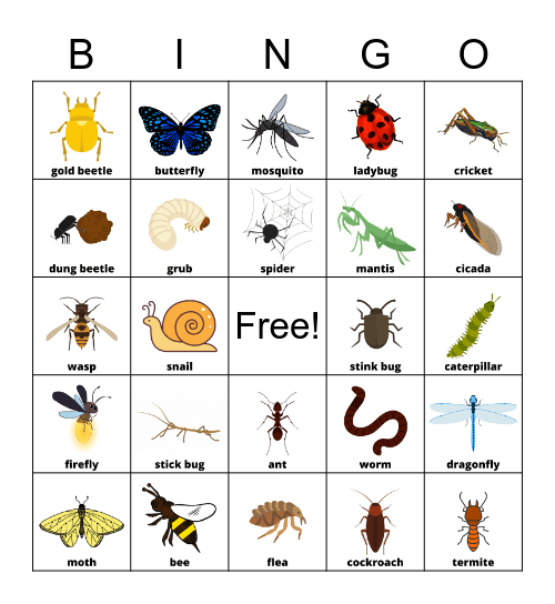 Insects Bingo Card