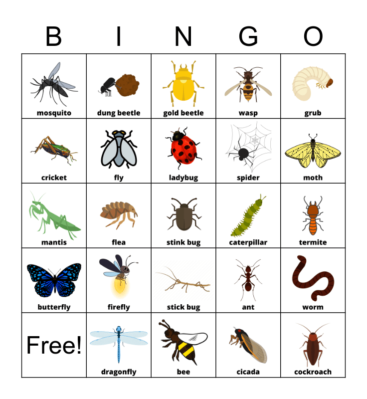 Insects Bingo Card