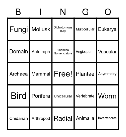 Classification Bingo Card