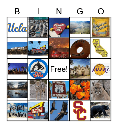 California Bingo Card