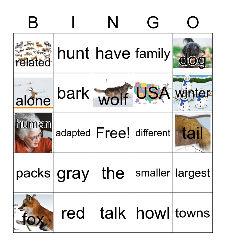 G3 U4 W3 GRAY WOLF, RED FOX Bingo Card