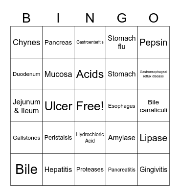 Related Bingo Cards