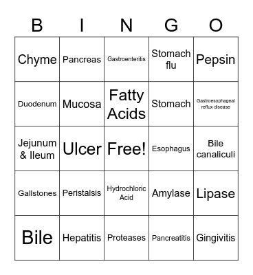 Related Bingo Cards