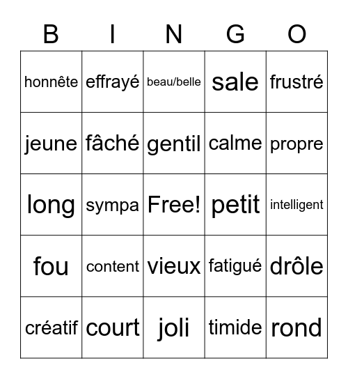 Des Adjectifs Bingo Card