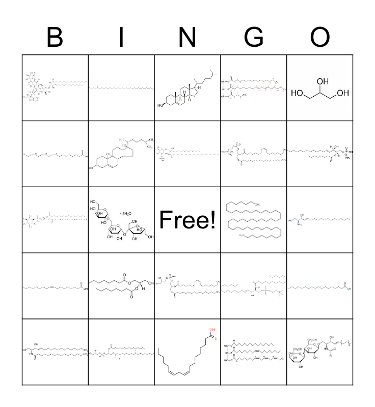 Biochemistry CHEM 474 - Lipids Bingo Card