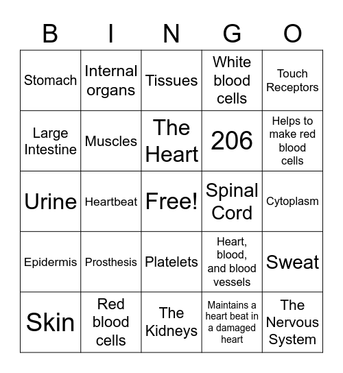 Human Body Bingo Card Human Body Bingo Card