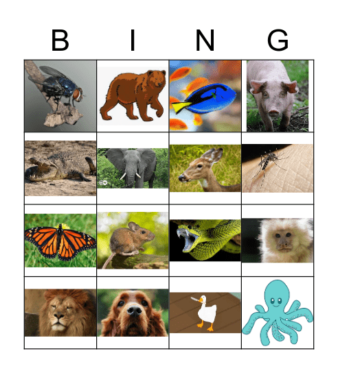 Animal Bingo Card