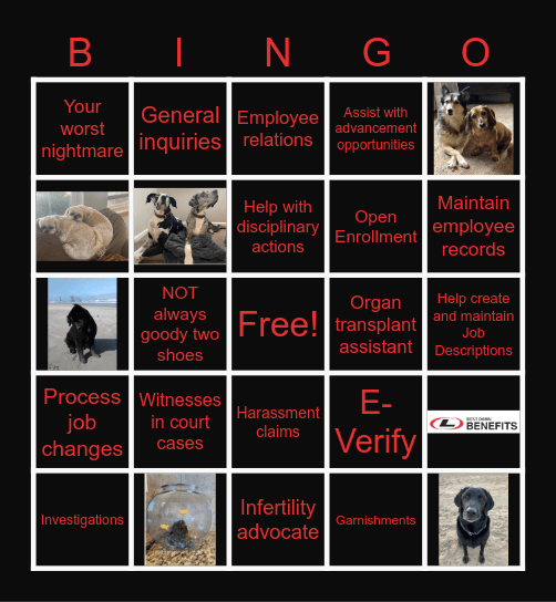 HR Bingo: the most fun you've ever had at work Bingo Card