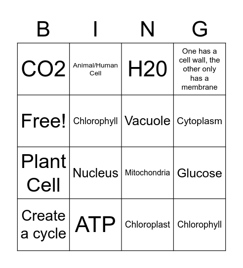 Cells, Photosynthesis, Cellular Respiration Bingo Card