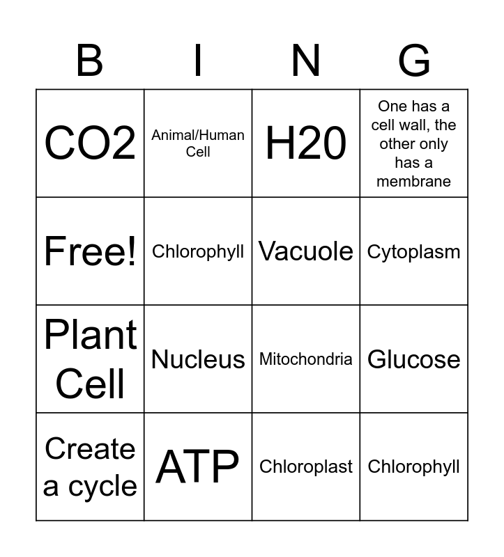 Cells, Photosynthesis, Cellular Respiration Bingo Card