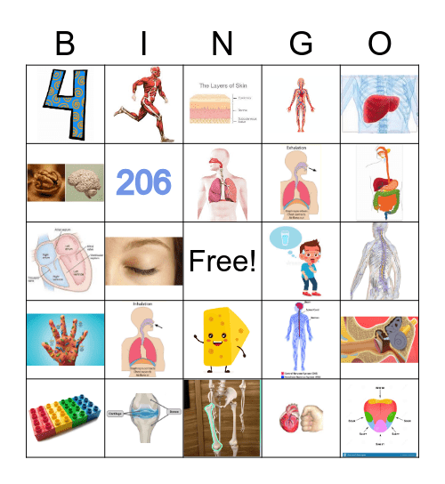 Our Body Bingo Card