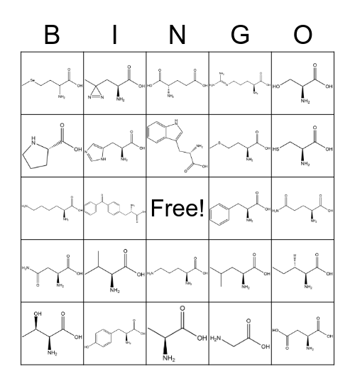 Amino Acid Bingo!!! Bingo Card