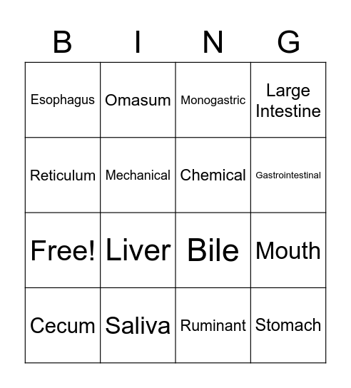 Digestive System Bingo Card