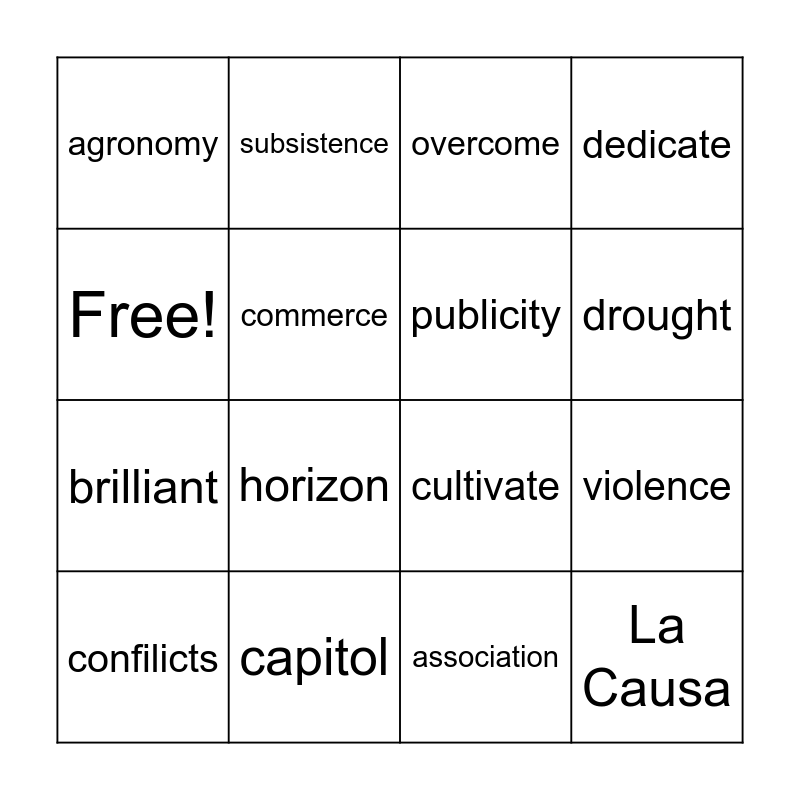 Journeys Lesson 19 Bingo Card
