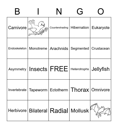 ANIMALS Bingo Card