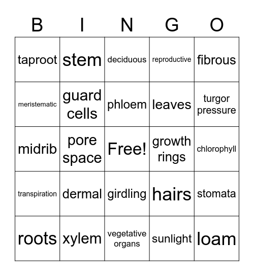 Plant Structure & Function Bingo Card