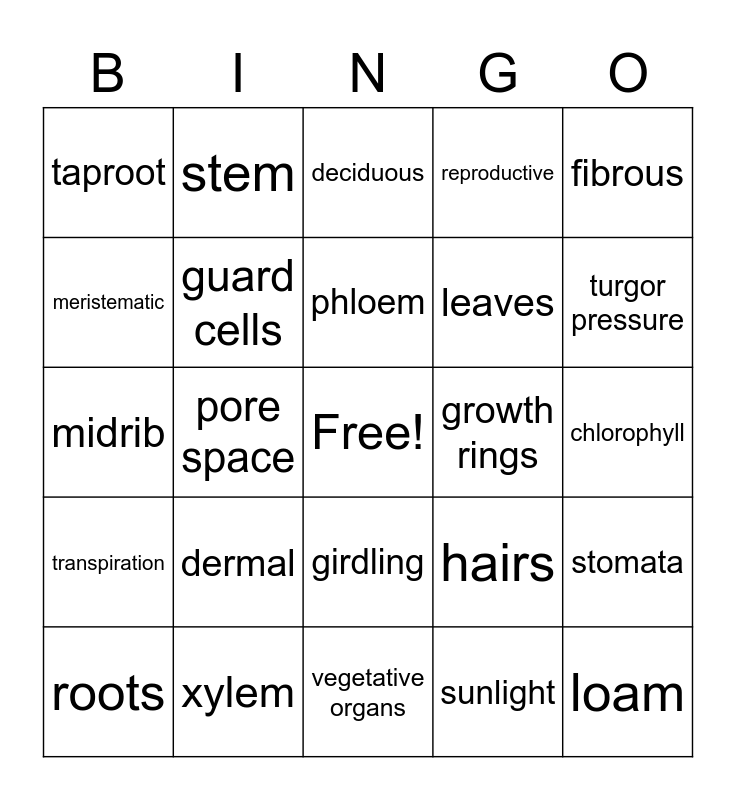 Plant Structure & Function Bingo Card