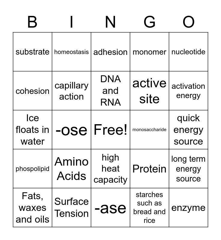 Biochemistry Review Bingo Card