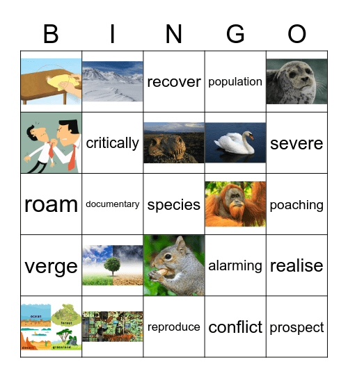 ENDANGERED ANIMALS Bingo Card