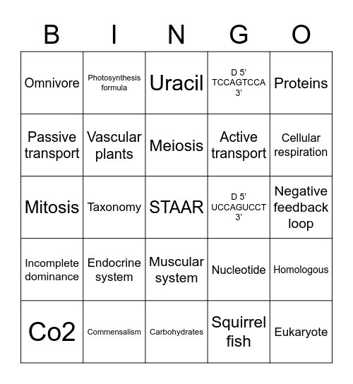 STAAR REVIEW BINGO Card