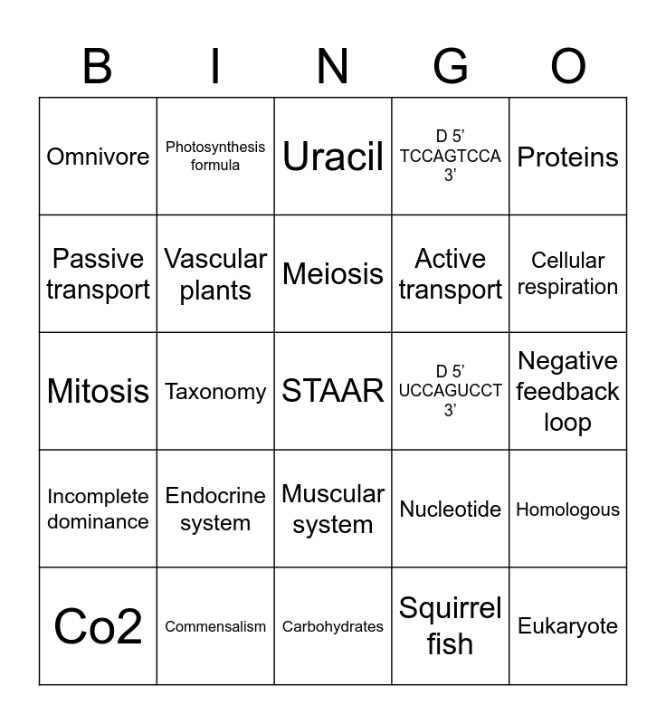 STAAR REVIEW BINGO Card