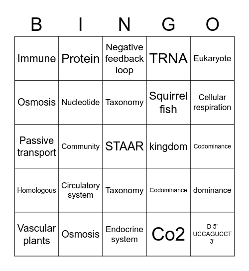 STAAR REVIEW Bingo Card