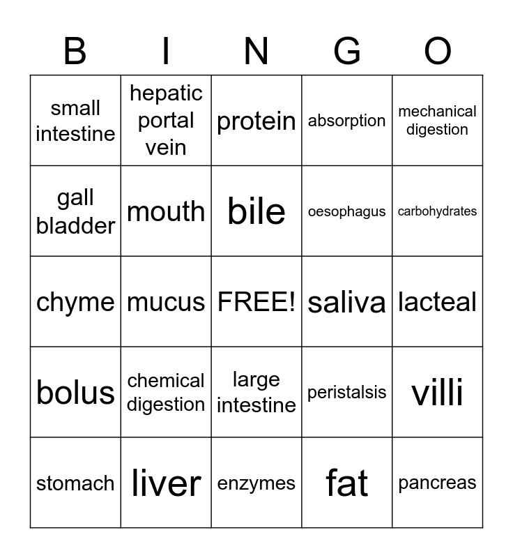 Digestive System Bingo Card