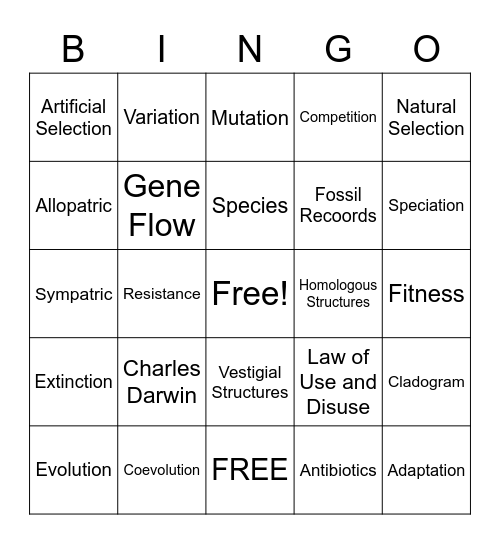 Evolution Bingo Card