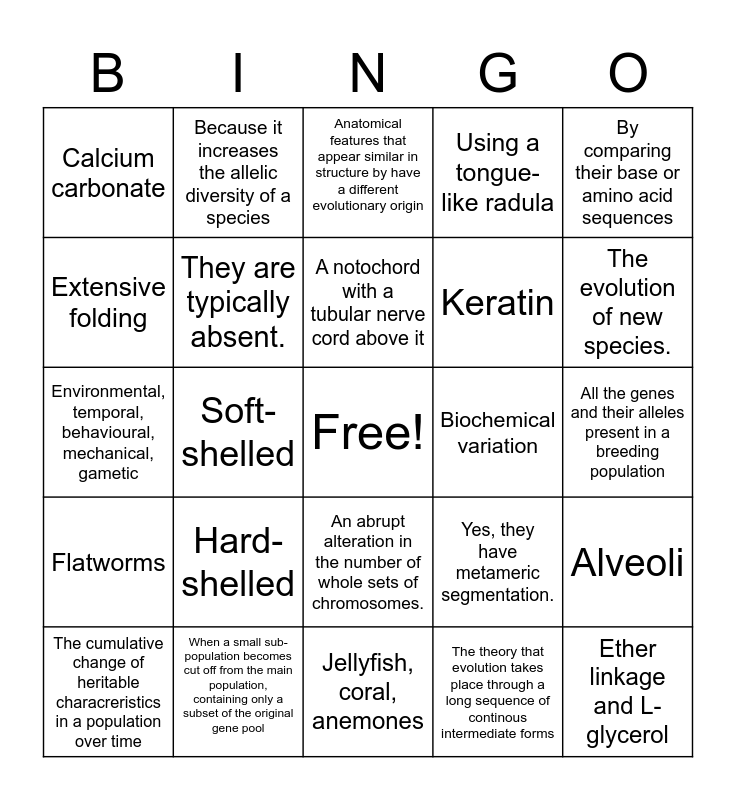 Evolution revision Bingo Card