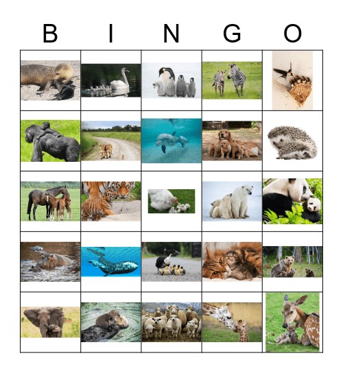 zoo Bingo Card