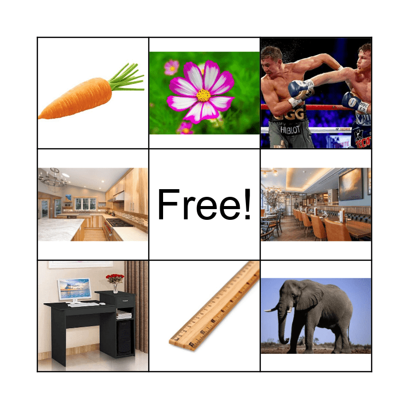 ESOL Bingo! Bingo Card