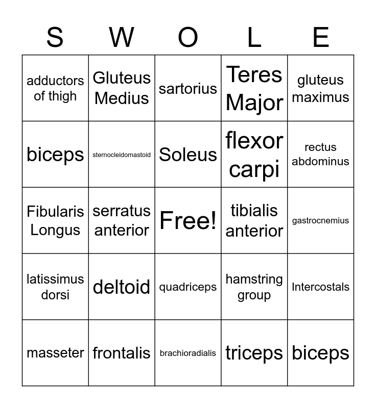 Muscles Bingo Card