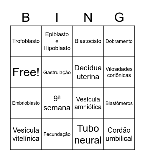 Desenvolvimento embrionário, fetal e placentário Bingo Card