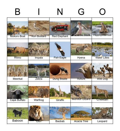 Safari Bingo Card