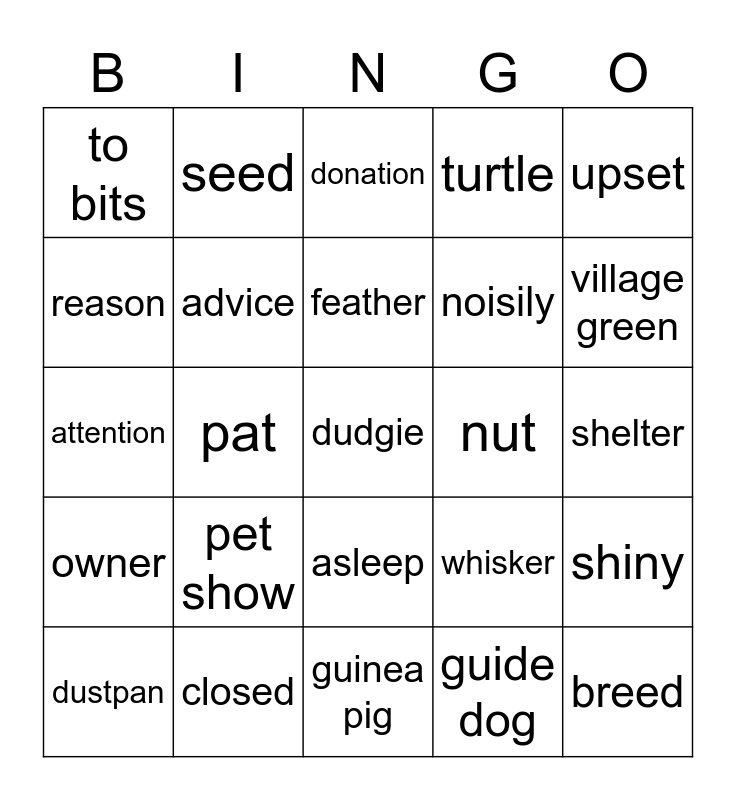 I Love English 3 Unit 19 Pets Bingo Card