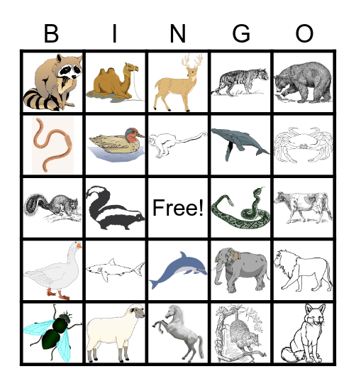 Animal Bingo Card